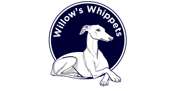 Willow's Whippets | Exercise And Play